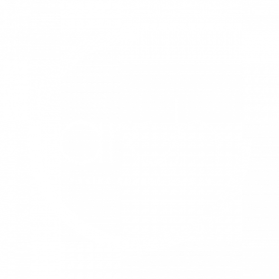 Arch Partners