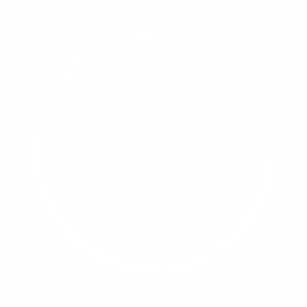 Arch Partners